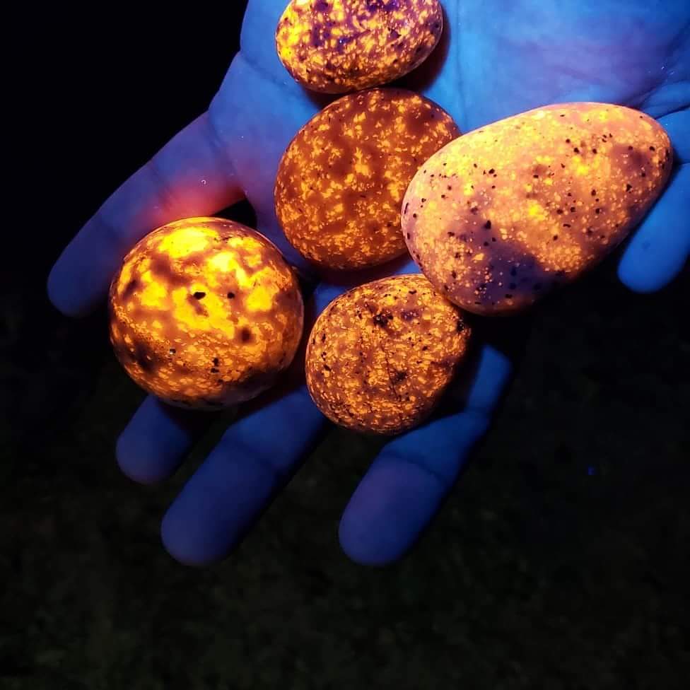 Premium Stones – Yooperlites