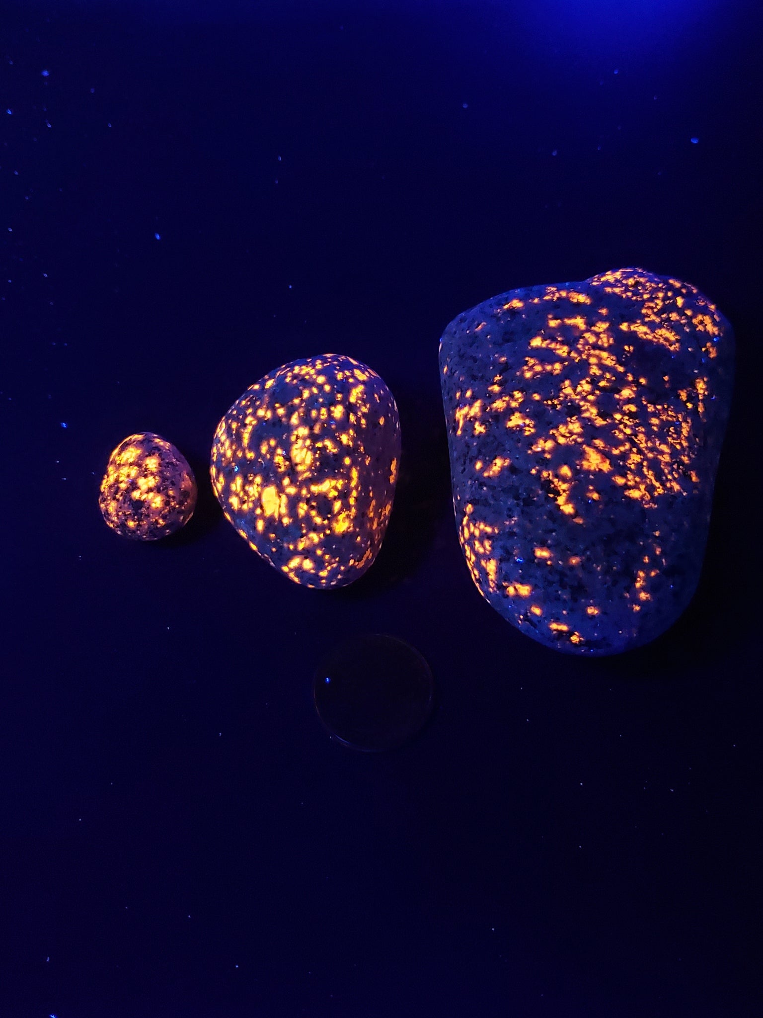 Hand Picked Yooperlite – Yooperlites