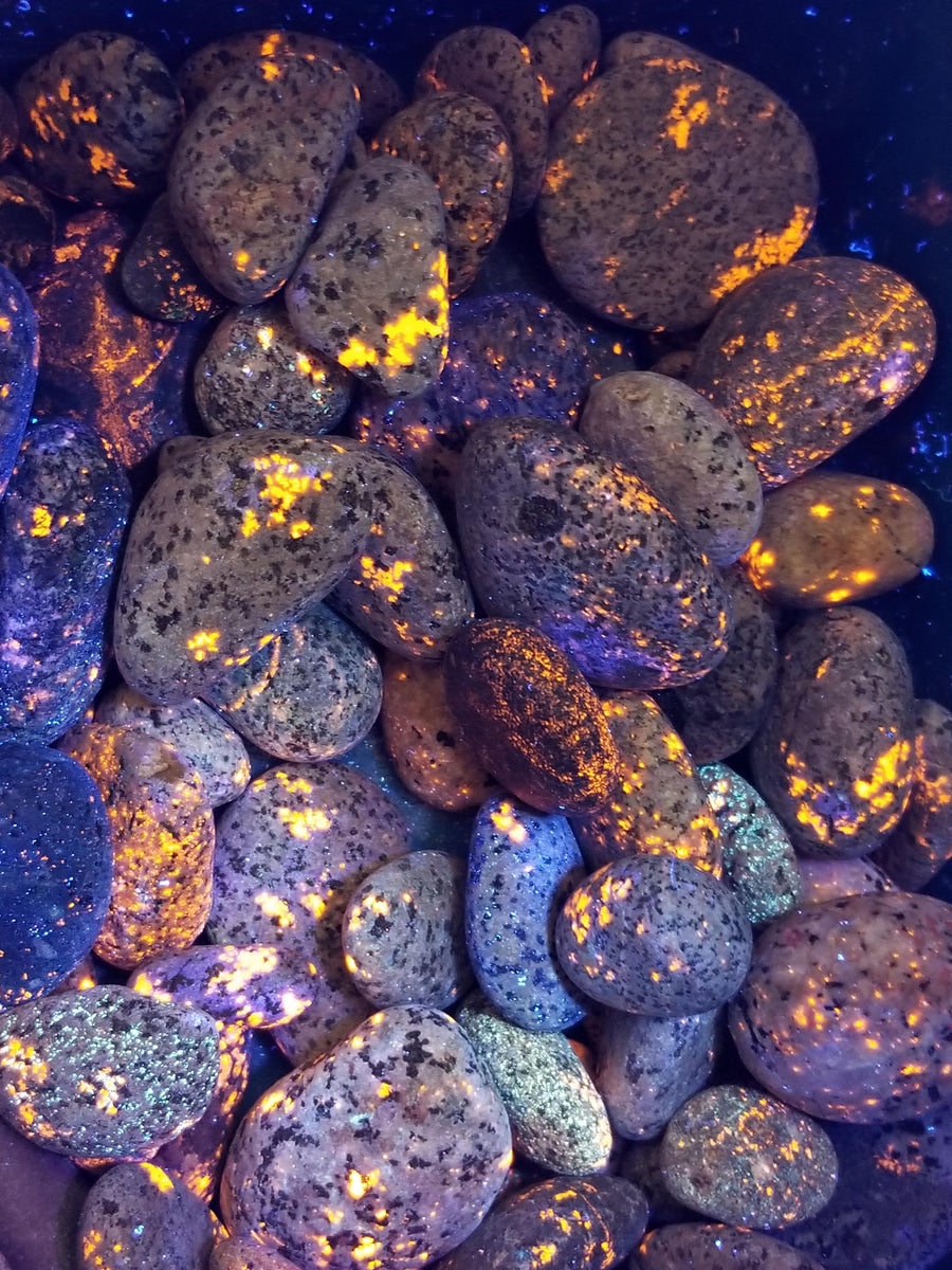 Hand Picked Yooperlite – Yooperlites